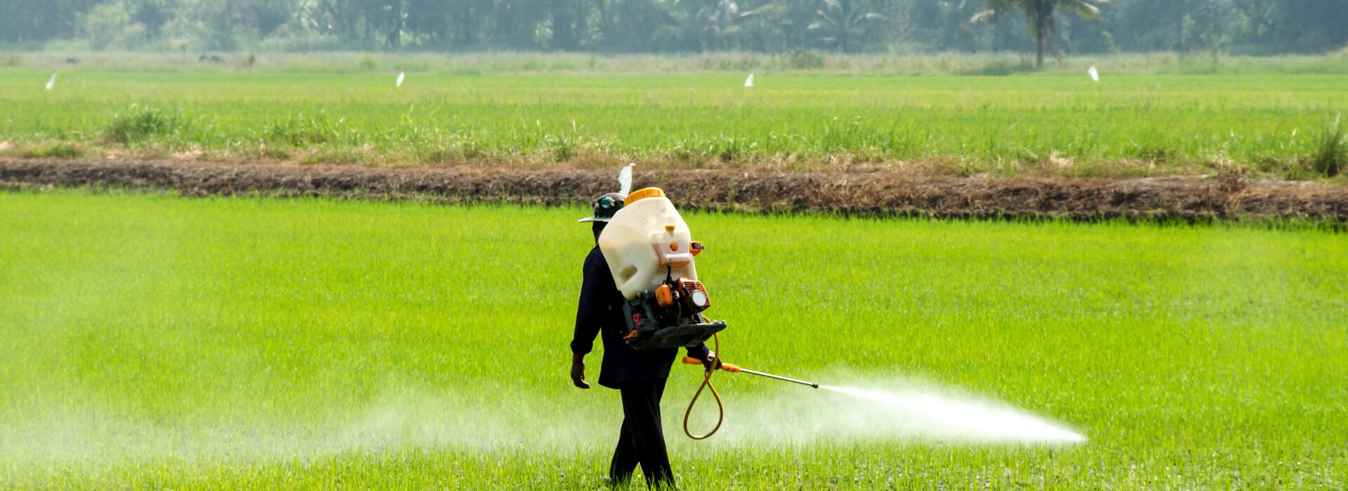 How a knapsack power sprayer Improves Crop Protection: A Deep Dive for