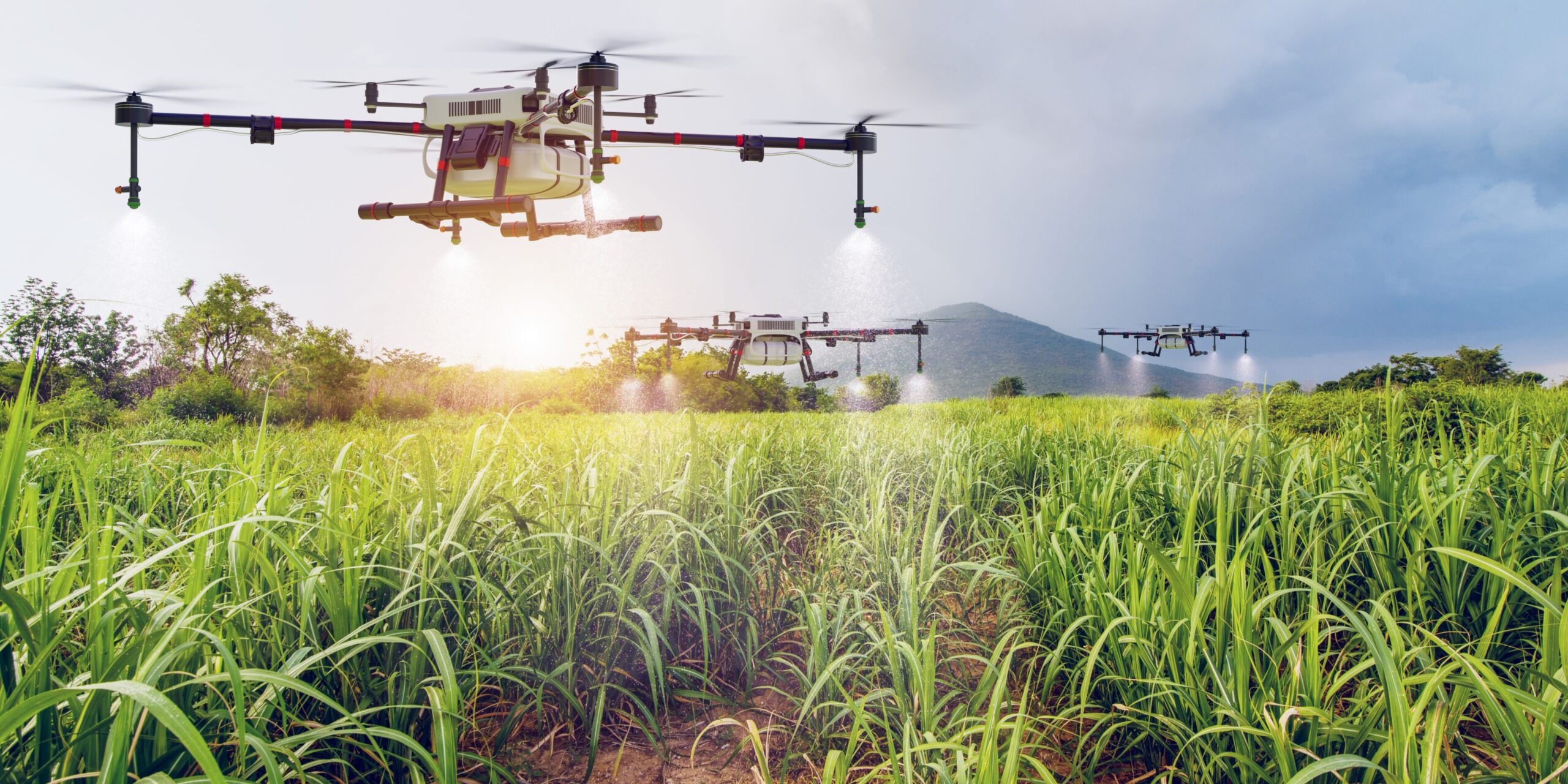 Farm Tools and Equipment: The Complete Guide for Modern Agriculture